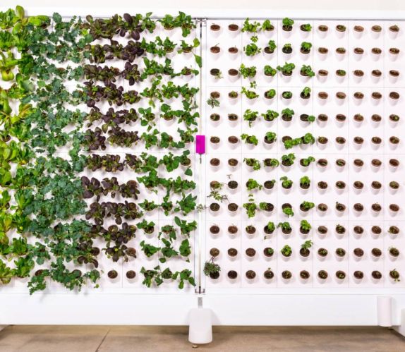 Indoor Farming & Vertical Farming Systems | Hydroponic Store Calgary ...